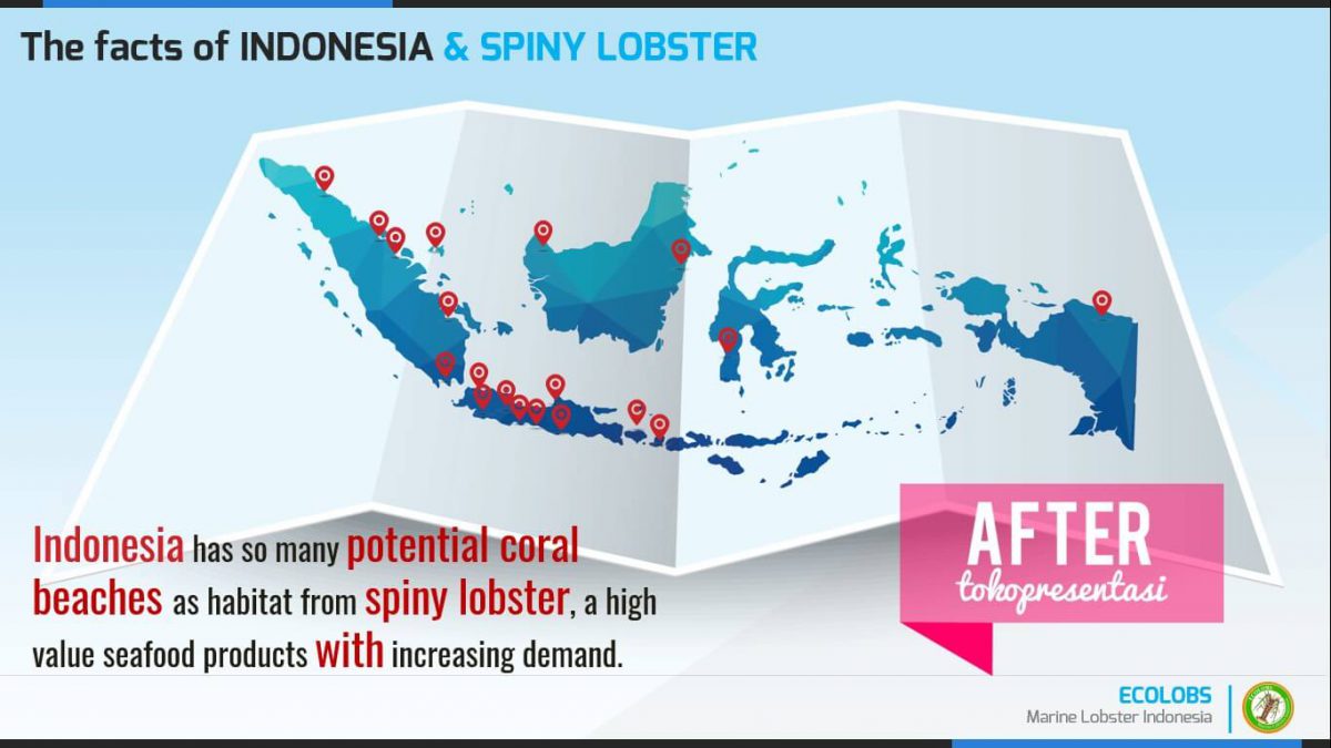 Portfolio Toko Presentasi - Jasa Presentasi terbaik di Jakarta