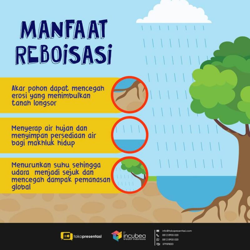 Pengertian Infografis, Jenis, Tujuan, dan Contohnya